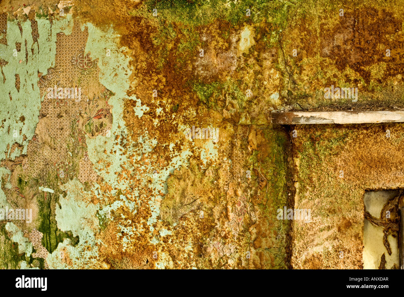 Interior of a deserted and ruined croft building near Tobha Mor on ...