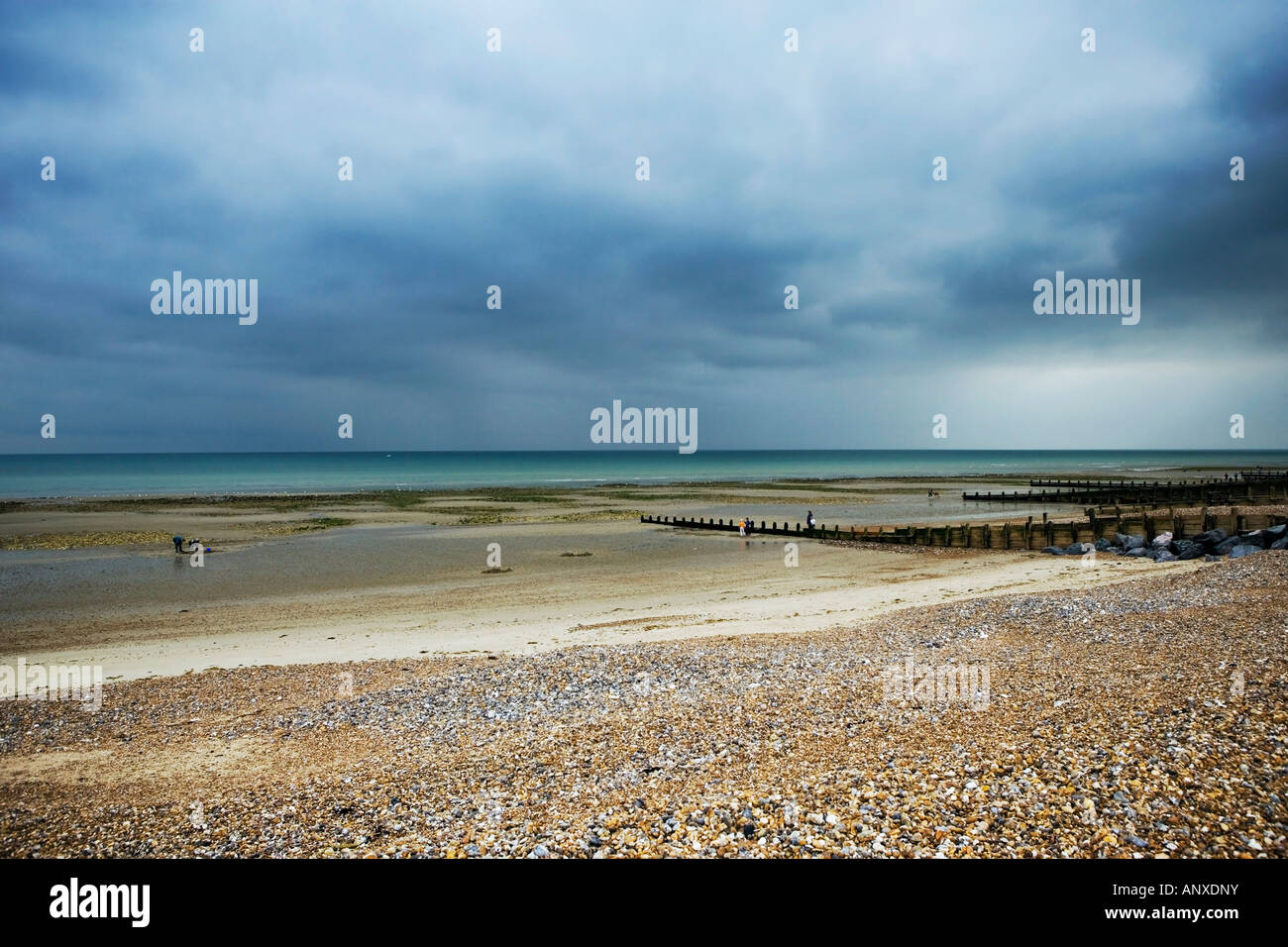 Shingle beach on the South coast of England at low tide Stock Photo - Alamy