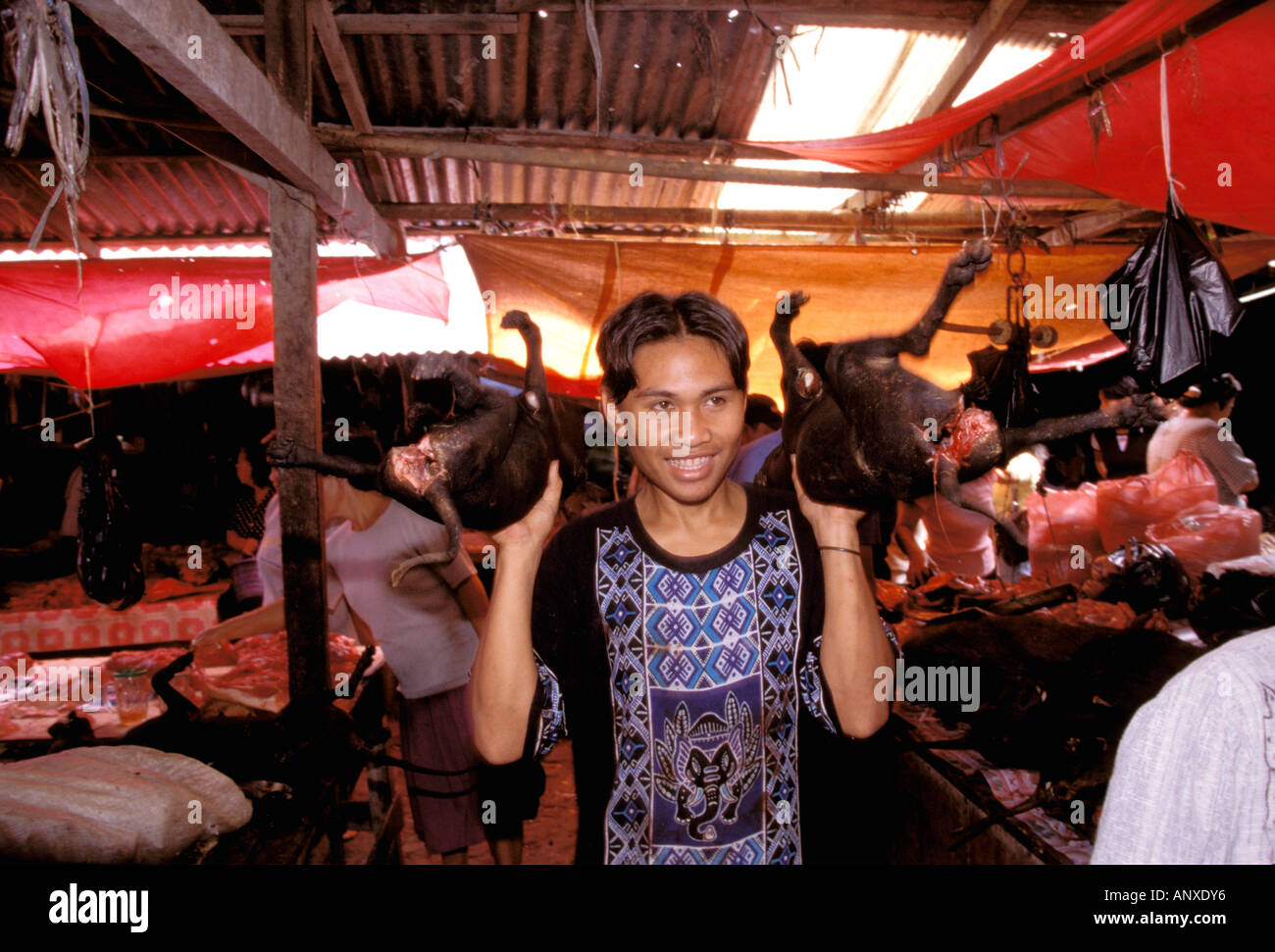 Asia, Indonesia, North Sulawesi, Minahasa, Langoan Market. Bushmeat ...