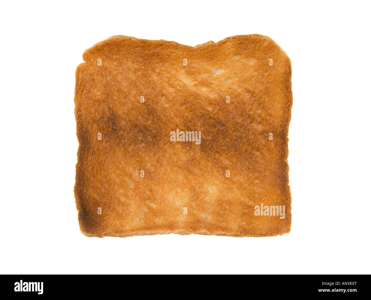 toast bread toastbread roasted toastend toasting a round of toast ...