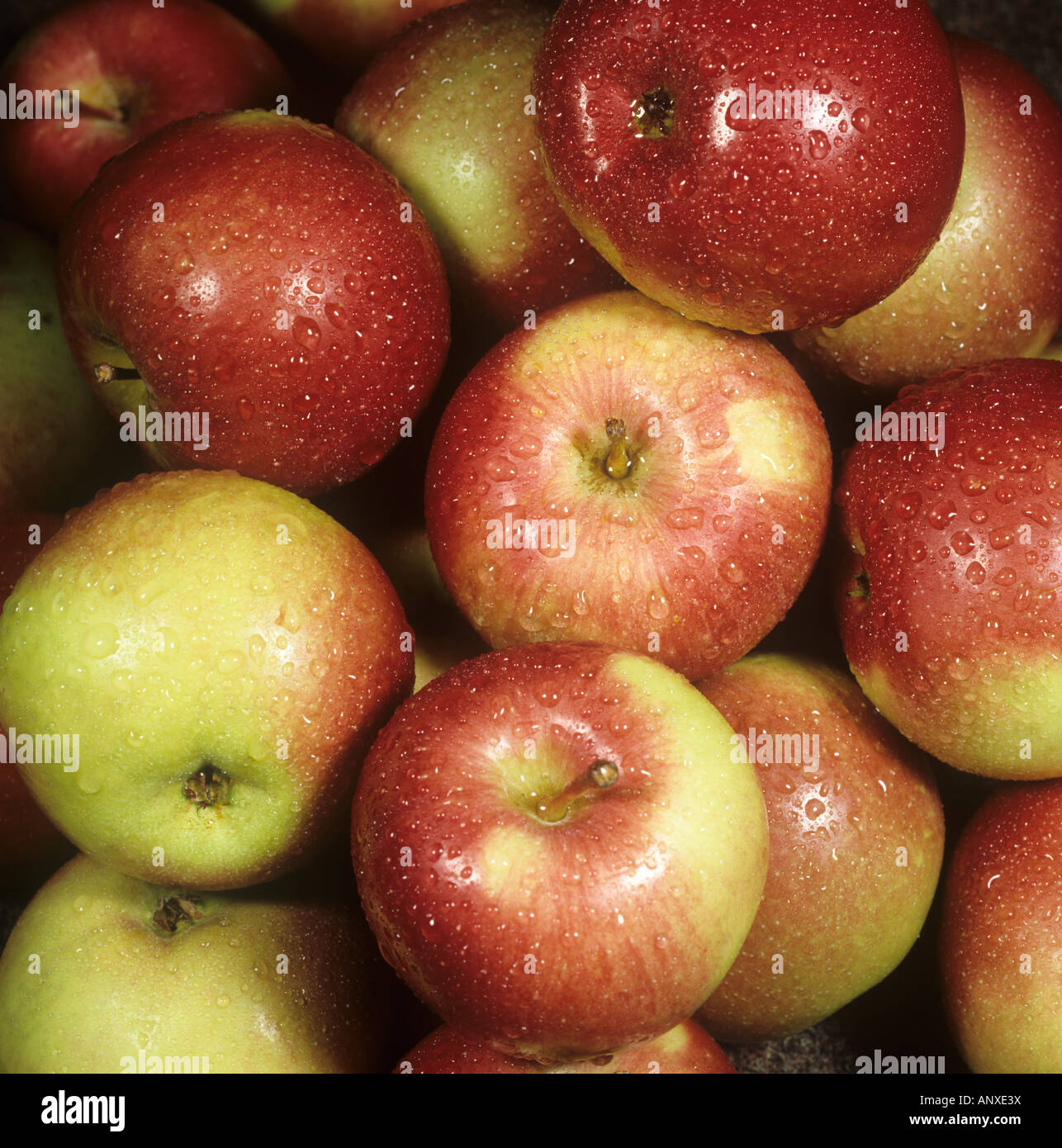 Canadian agriculture hi-res stock photography and images - Alamy