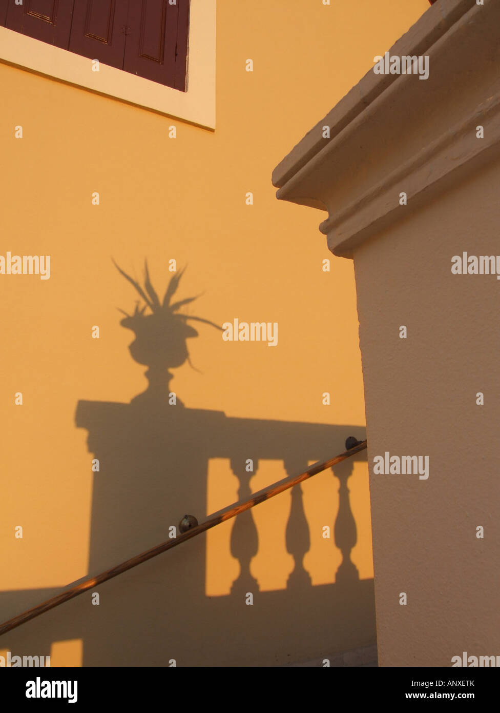 plant shadow on house in athens greece Stock Photo - Alamy