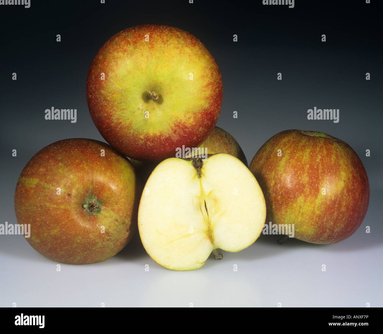 The cox group hi-res stock photography and images - Alamy