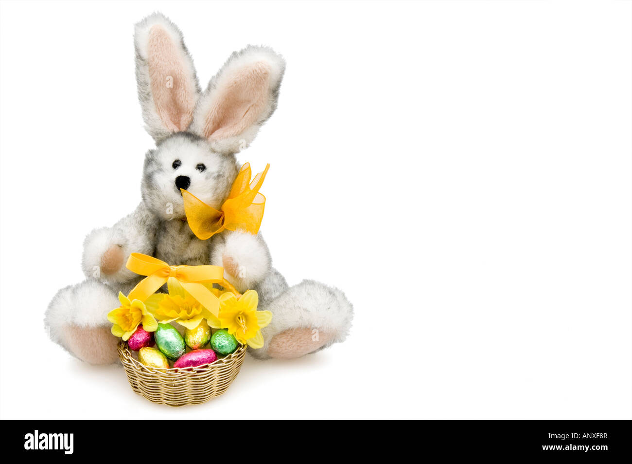 Easter bunny with daffodils hi-res stock photography and images - Alamy