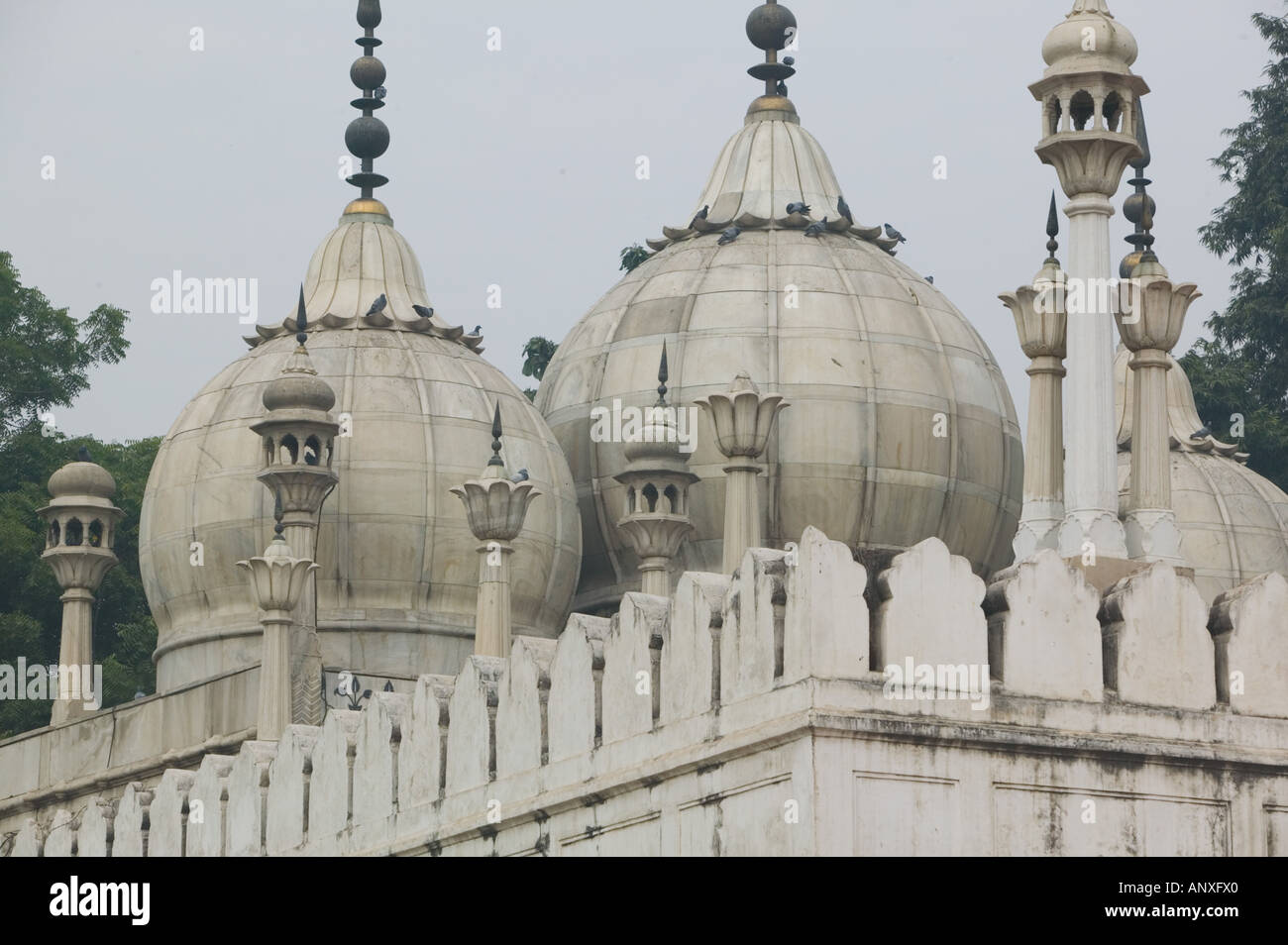 Moti masjid hi-res stock photography and images - Alamy