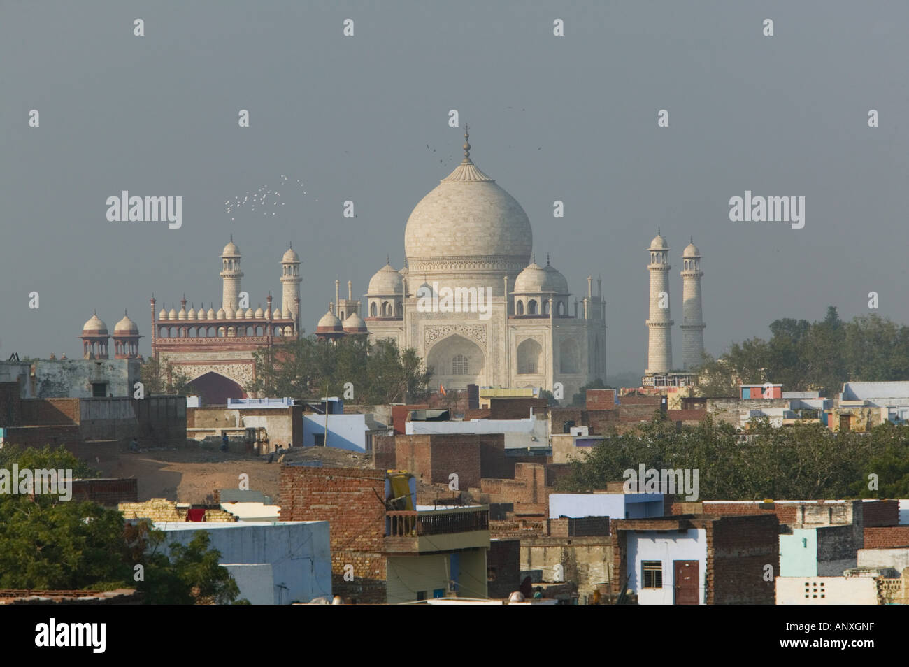 Taj view hotel agra hi-res stock photography and images - Alamy