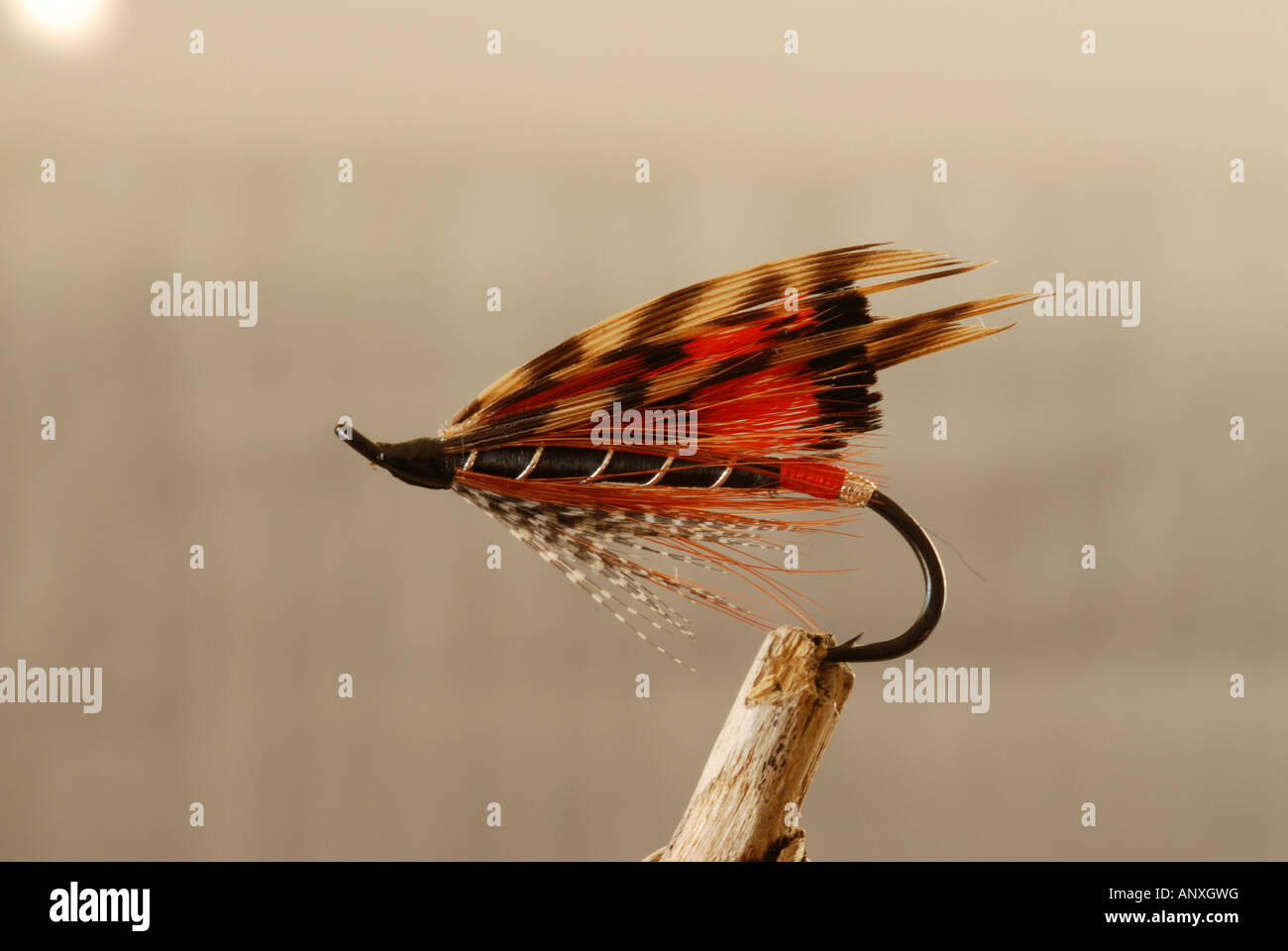 Salmon Fly Fishing Bait Stock Photo - Alamy