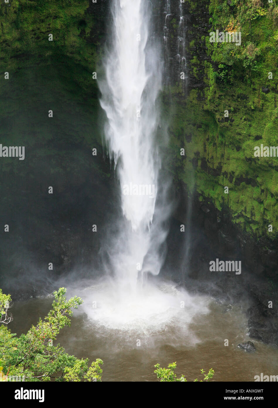 Akaka falls waterfall Hawaii Stock Photo - Alamy
