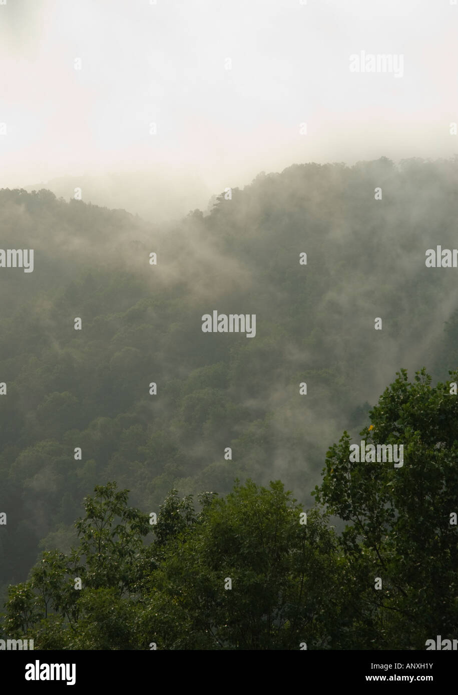 Low morning cloud in West Virginia Stock Photo - Alamy