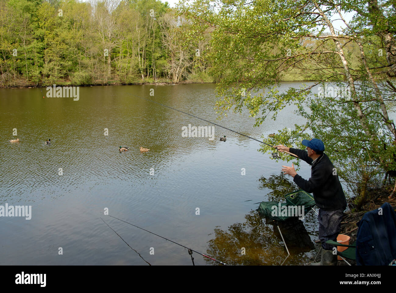 Coarse Fishing Llyn Syberi Snowdonia Stock Photo - Alamy