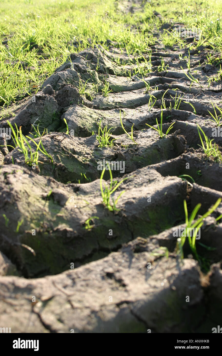 Tractor tire marks grass hi-res stock photography and images - Alamy