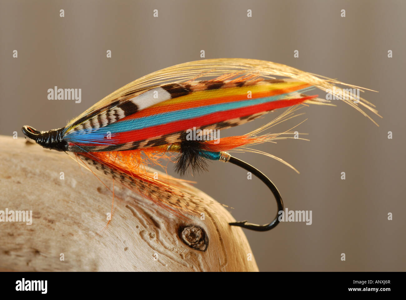 Salmon Fly Fishing Bait Stock Photo - Alamy