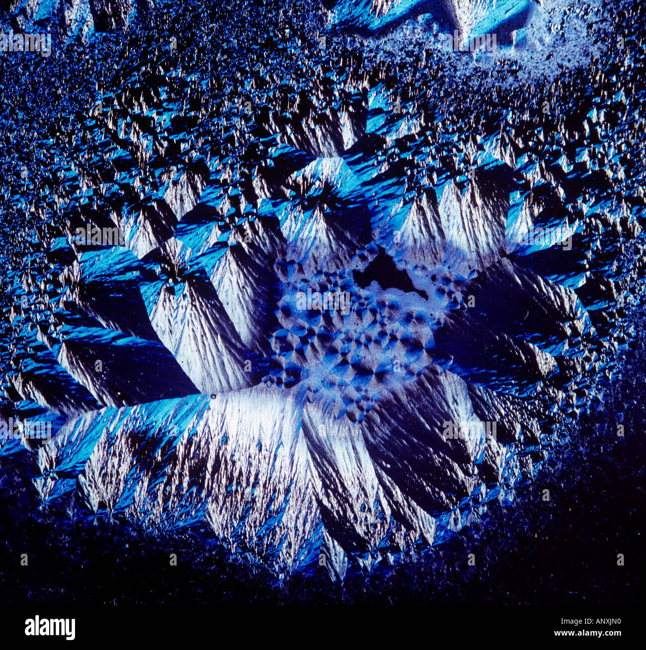 micro structures of acid crystals in polarised light Stock Photo - Alamy