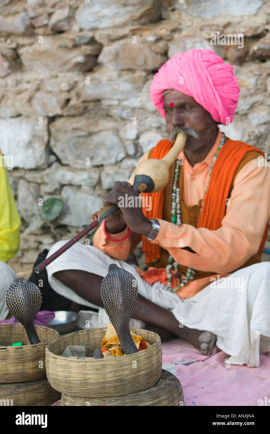 INDIA, Rajasthan, Pushkar: PUSHKAR CAMEL FAIR, Indian Snake Charmer ...