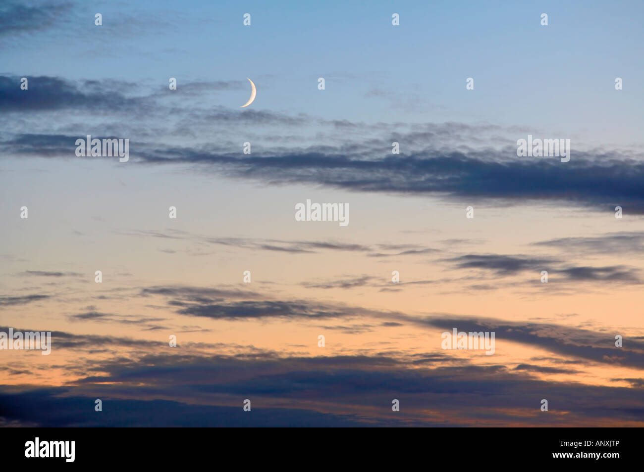 Phases moon hi-res stock photography and images - Alamy