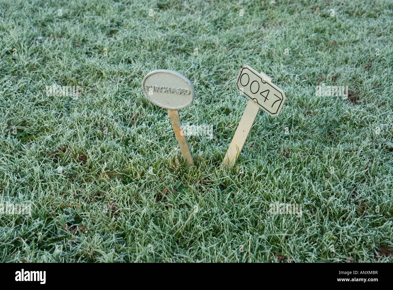 Marker to indicate a purchased plot for a grave with frosted grass ...