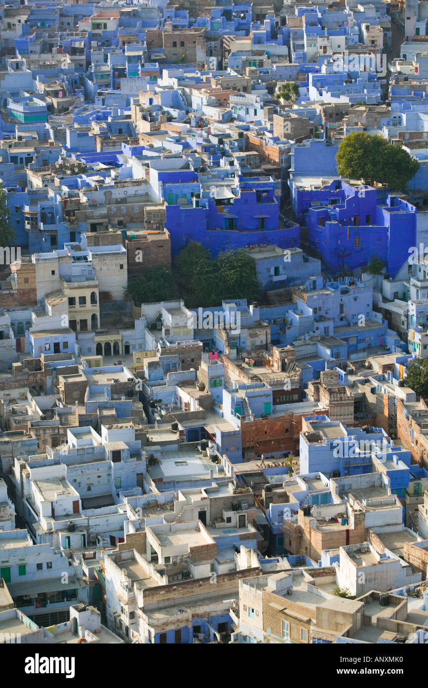 INDIA, Rajasthan, Jodhpur: Blue City of Jodhpur seen from Meherangarh ...