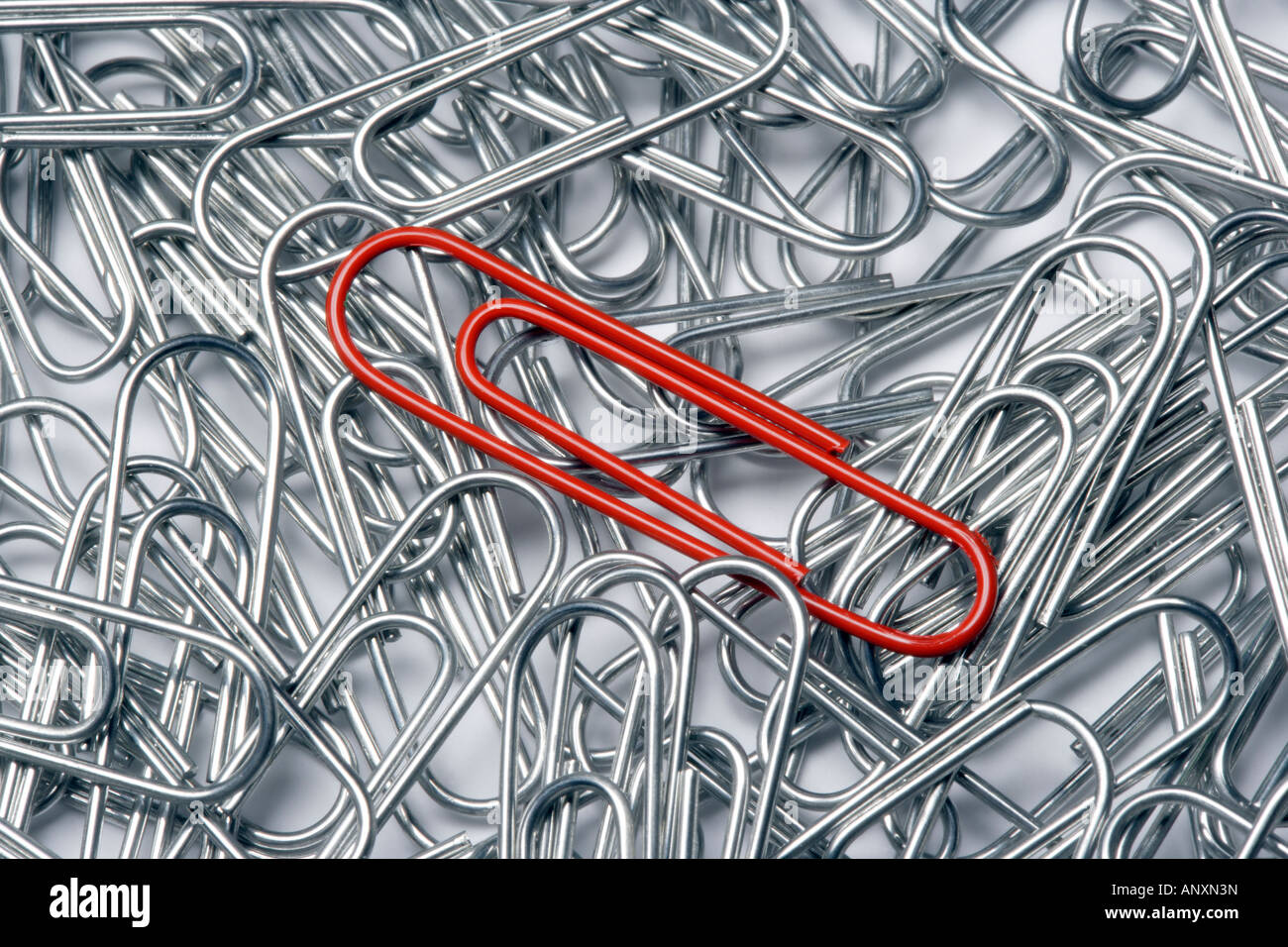 Odd One Out Stock Photo - Alamy