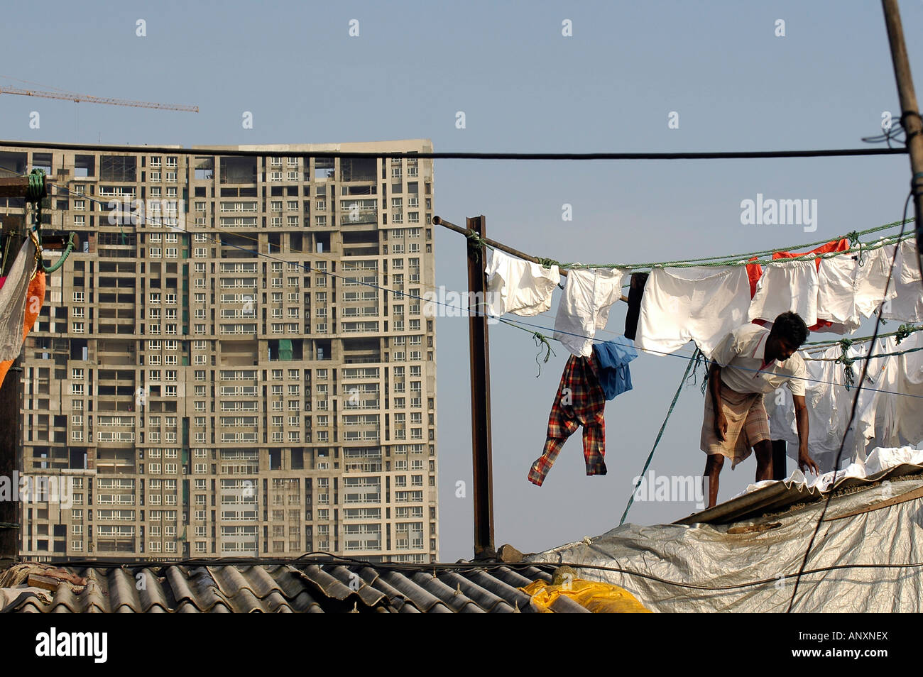 An Indian man working at the Dhobi Ghat open air laundry in Mumbai ...