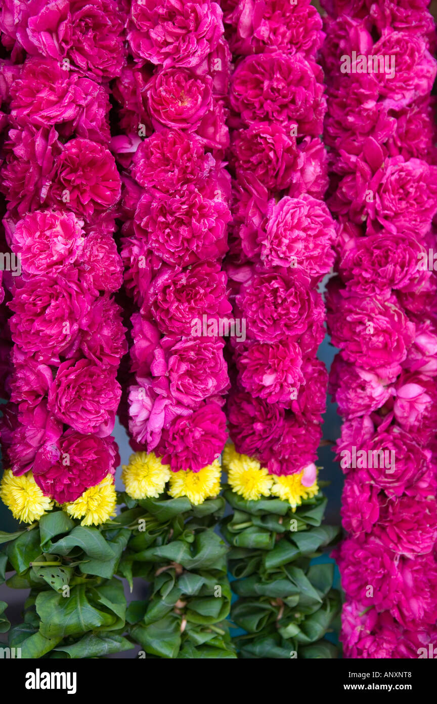 INDIA, Tamil Nadu, Chennai: Kapaleeshwarar Temple, Puja Offering Flower ...