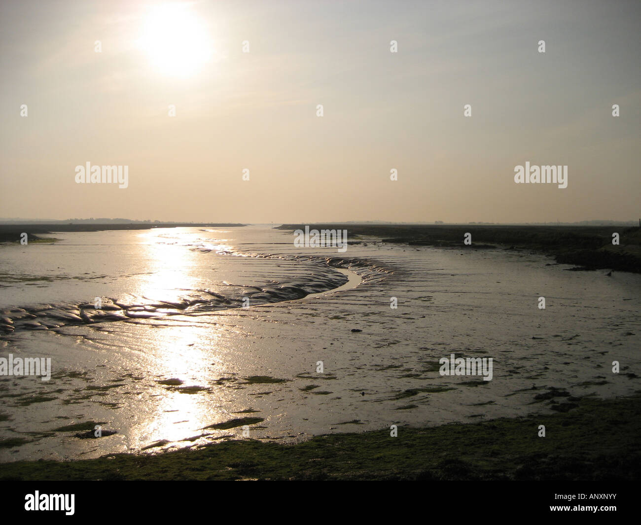 Creek View at Sunrise Stock Photo - Alamy