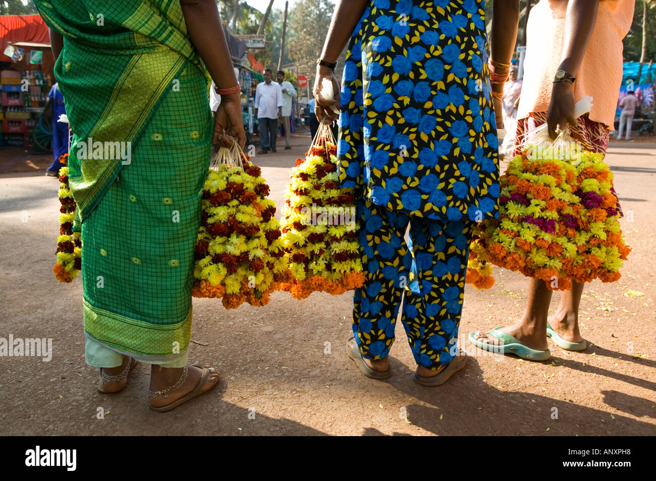 Goa flower india asia hi-res stock photography and images - Alamy