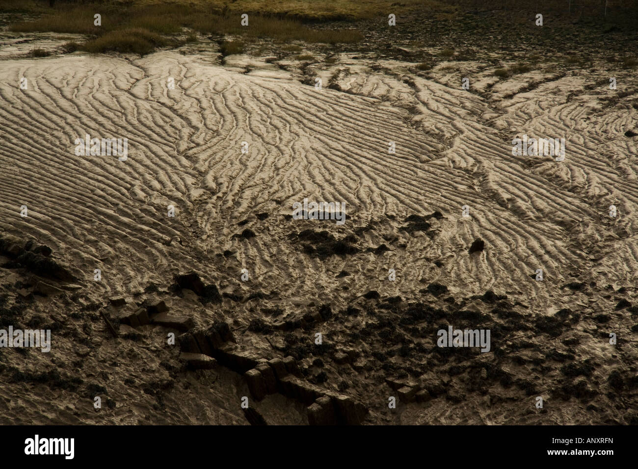 Mud at Low Tide Severn Estuary Stock Photo - Alamy
