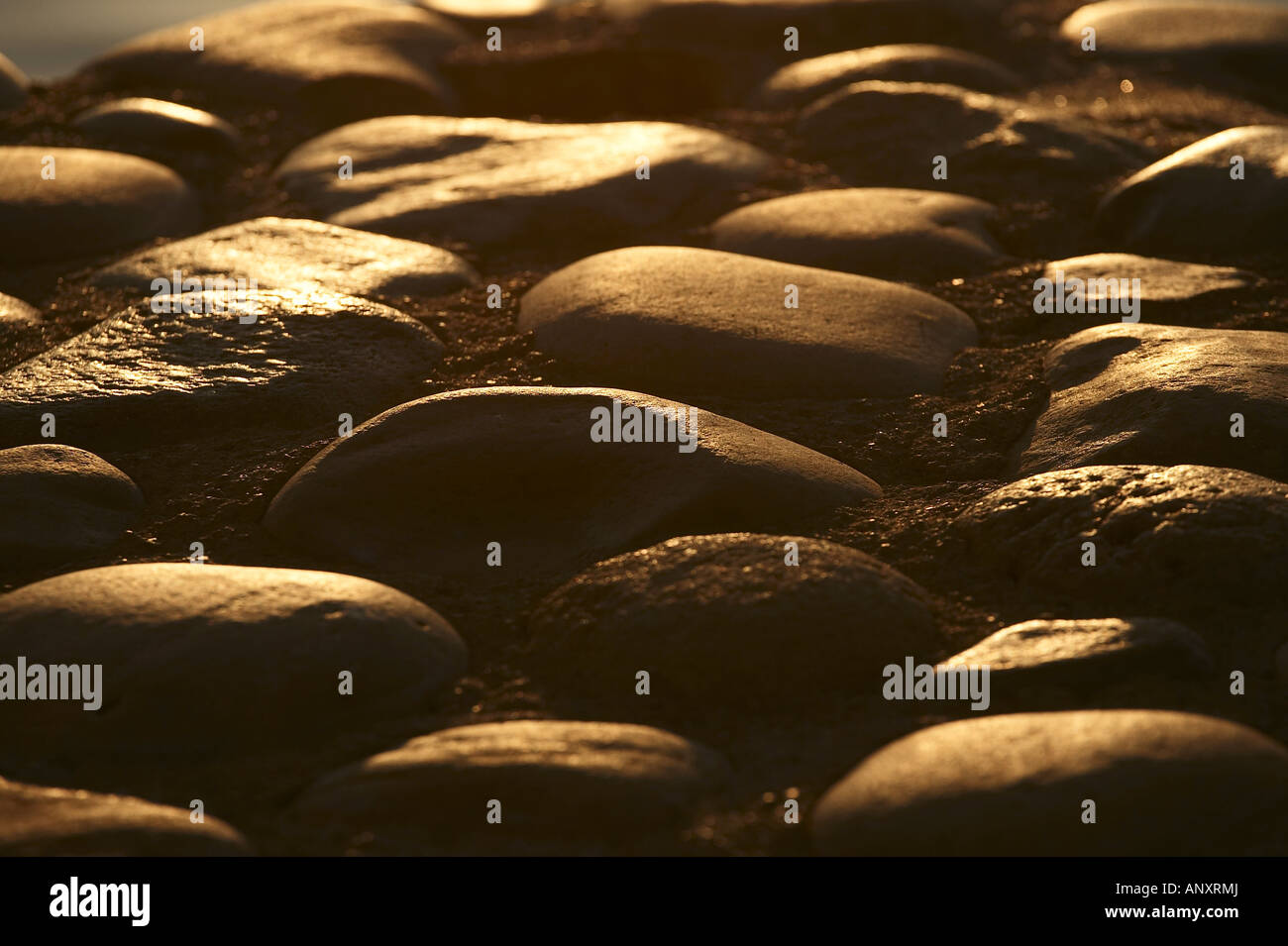 Gold rocks in river hi-res stock photography and images - Alamy
