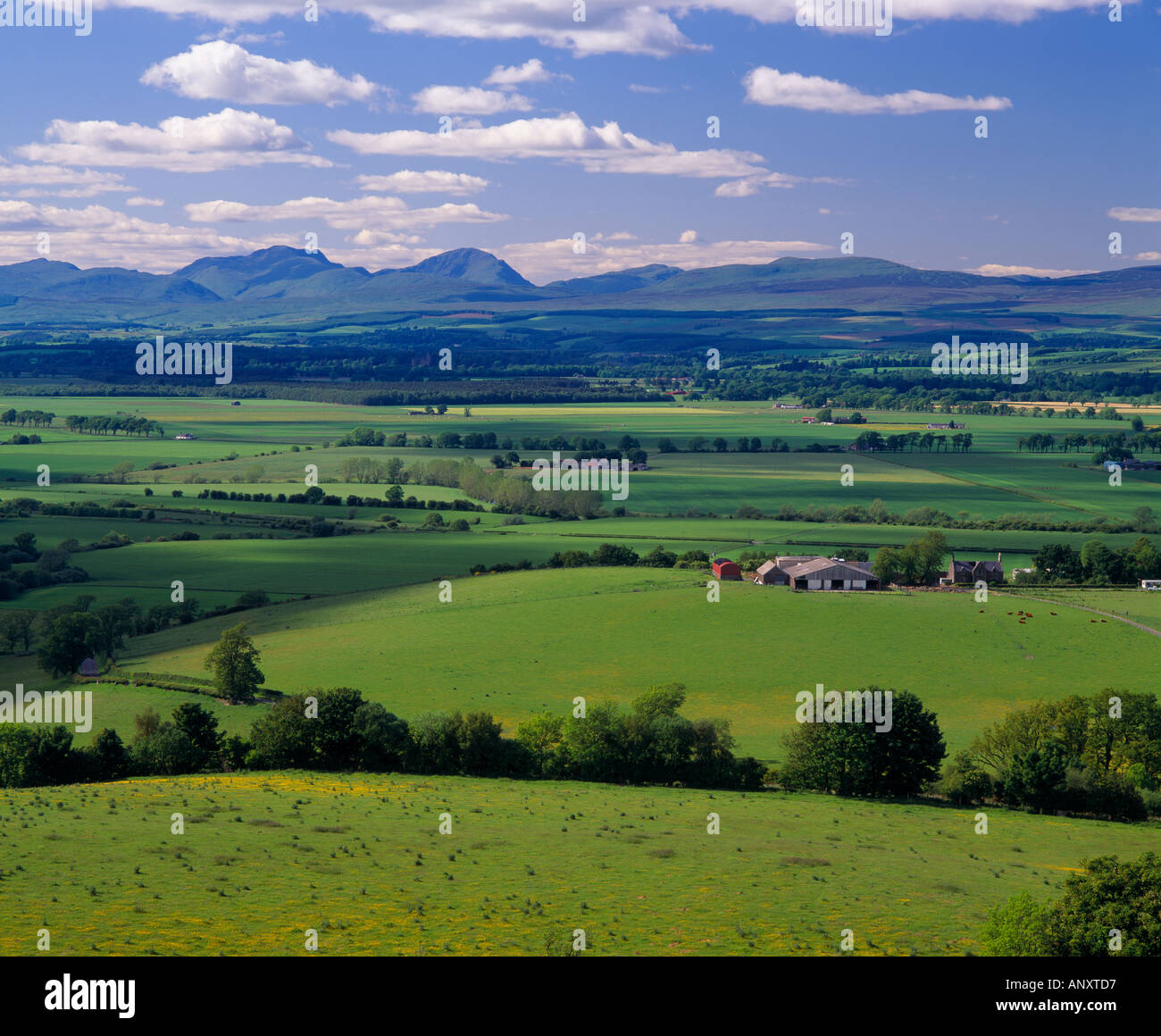 Carse of Stirling, Stirling, Scotland, UK. View from Ghillies Hill near ...