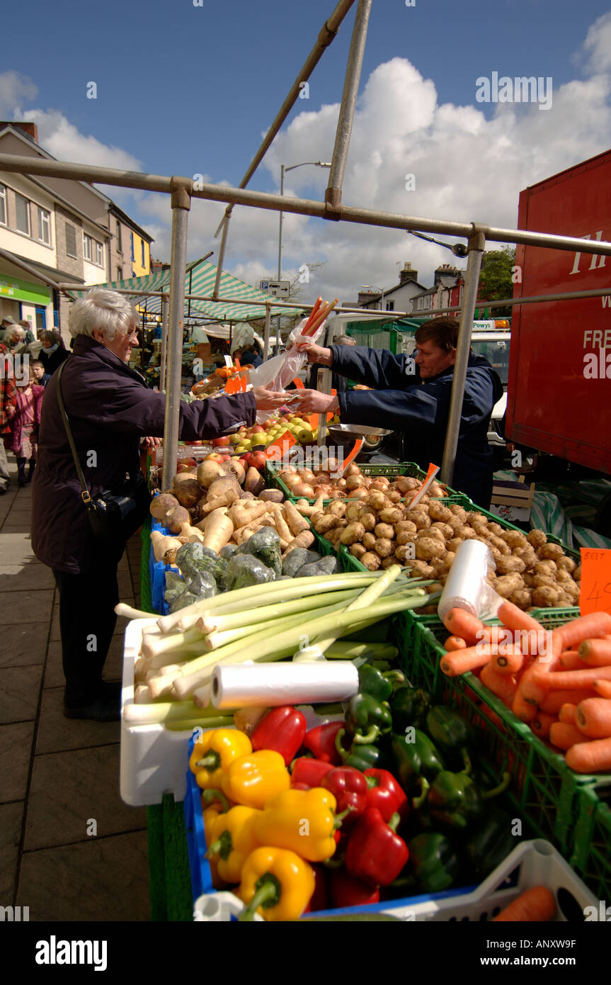 Shop machynlleth hi-res stock photography and images - Alamy