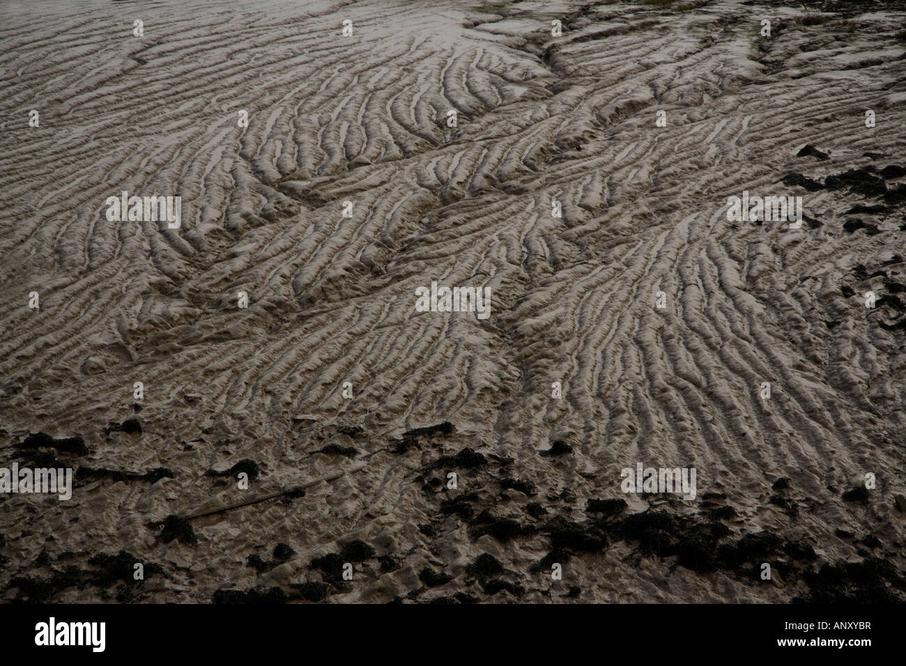 Severn estuary low tide hi-res stock photography and images - Alamy