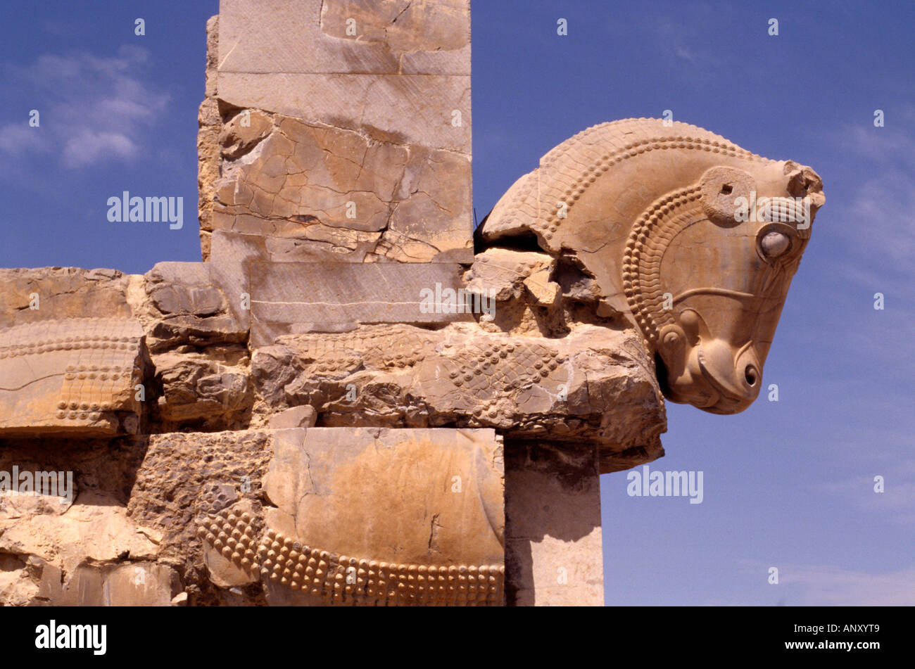 Horse statue persepolis iran hi-res stock photography and images - Alamy