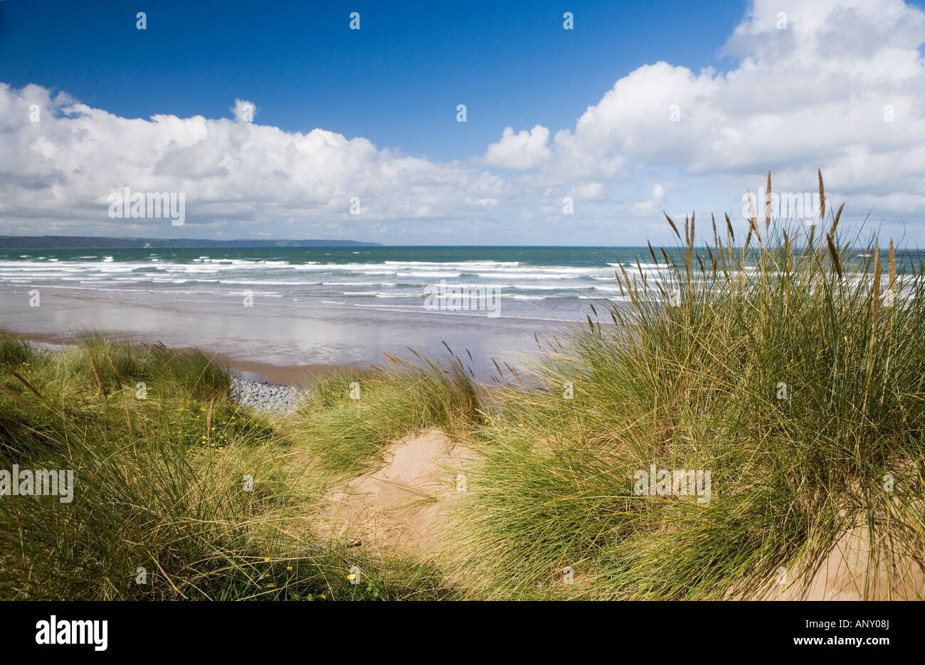 South coast beaches Devon England UK Stock Photo - Alamy