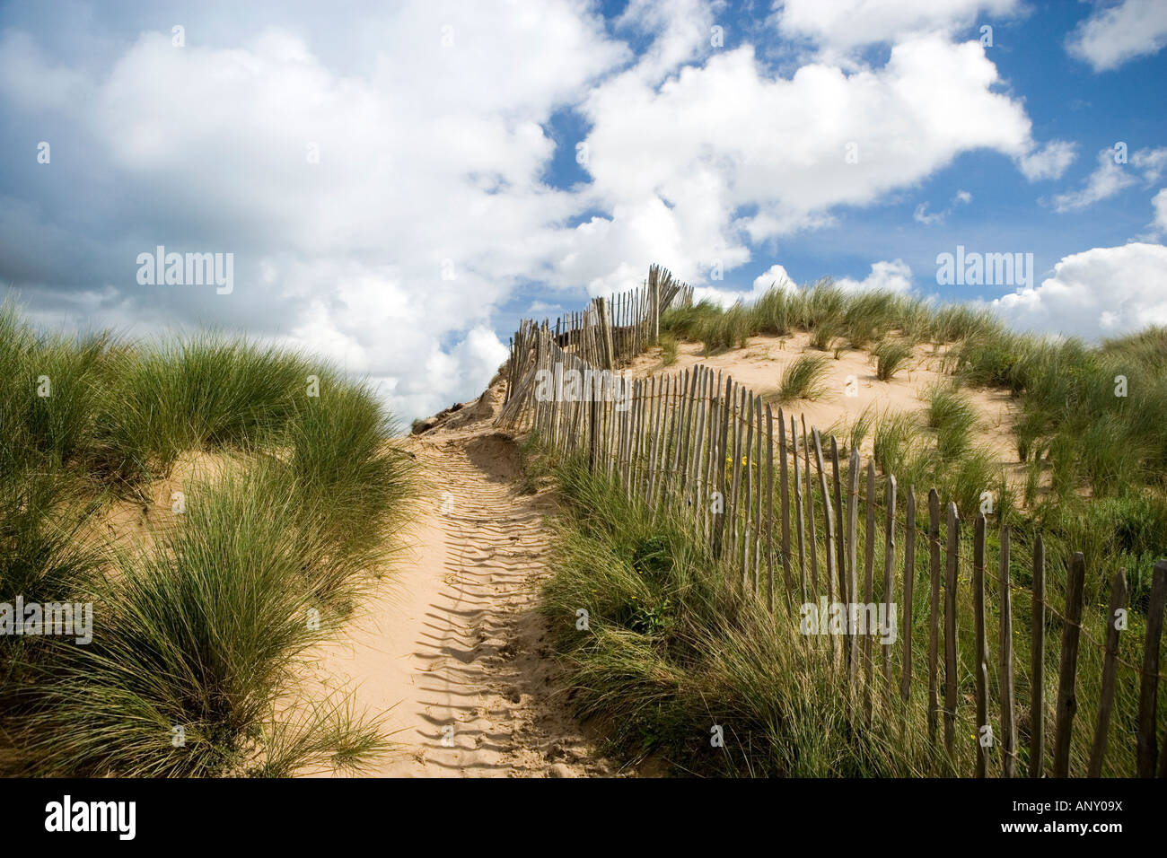 Sand dunes South Coast England UK Stock Photo - Alamy