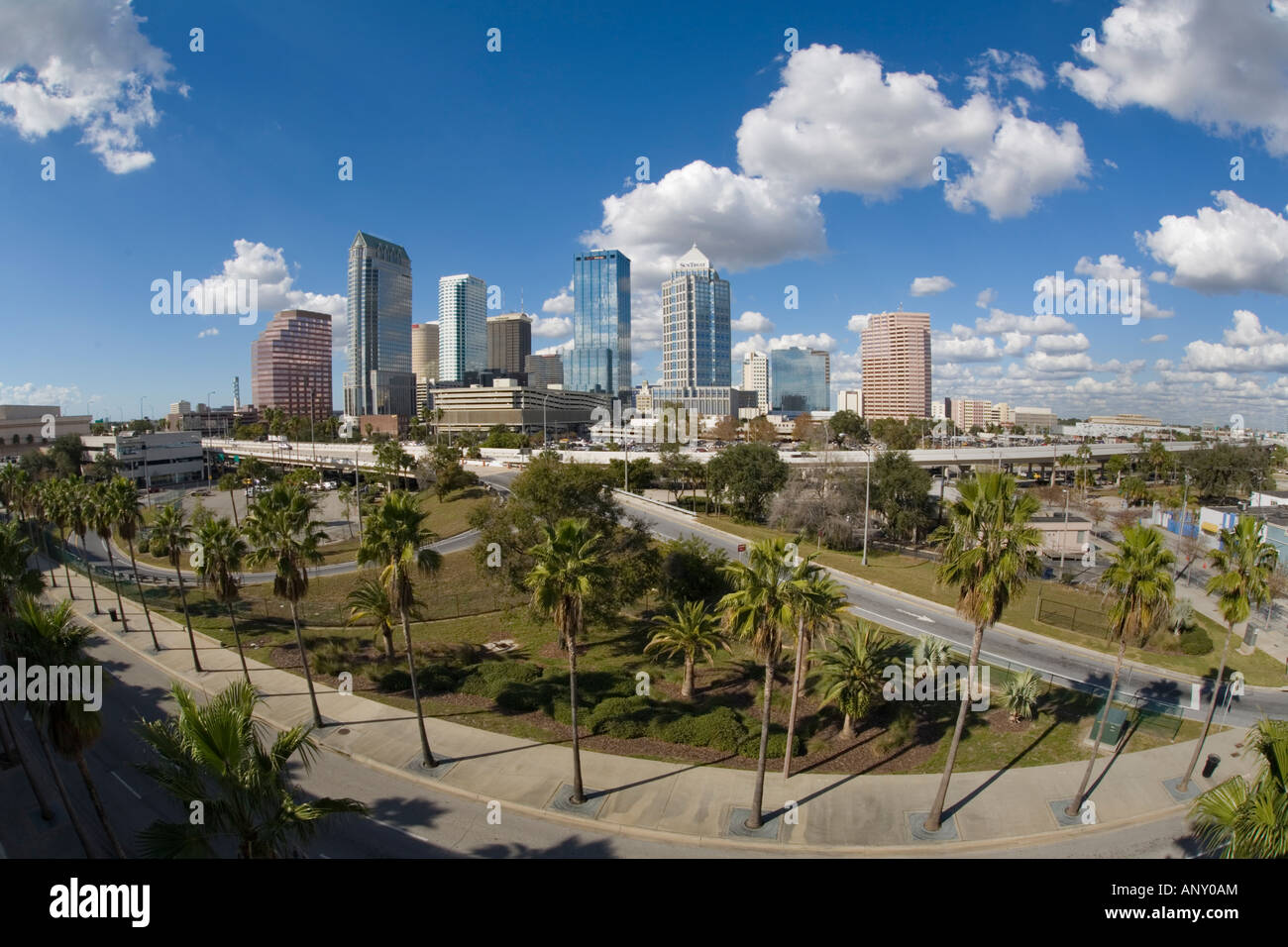Tall buildings on Tampa Florida skyline taken with a fisheye lens Stock ...