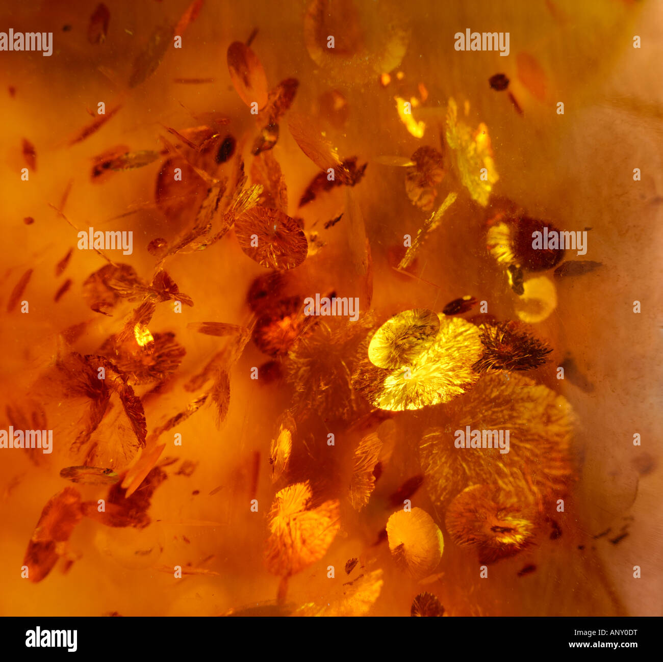 Amber gemstone texture closeup Stock Photo - Alamy