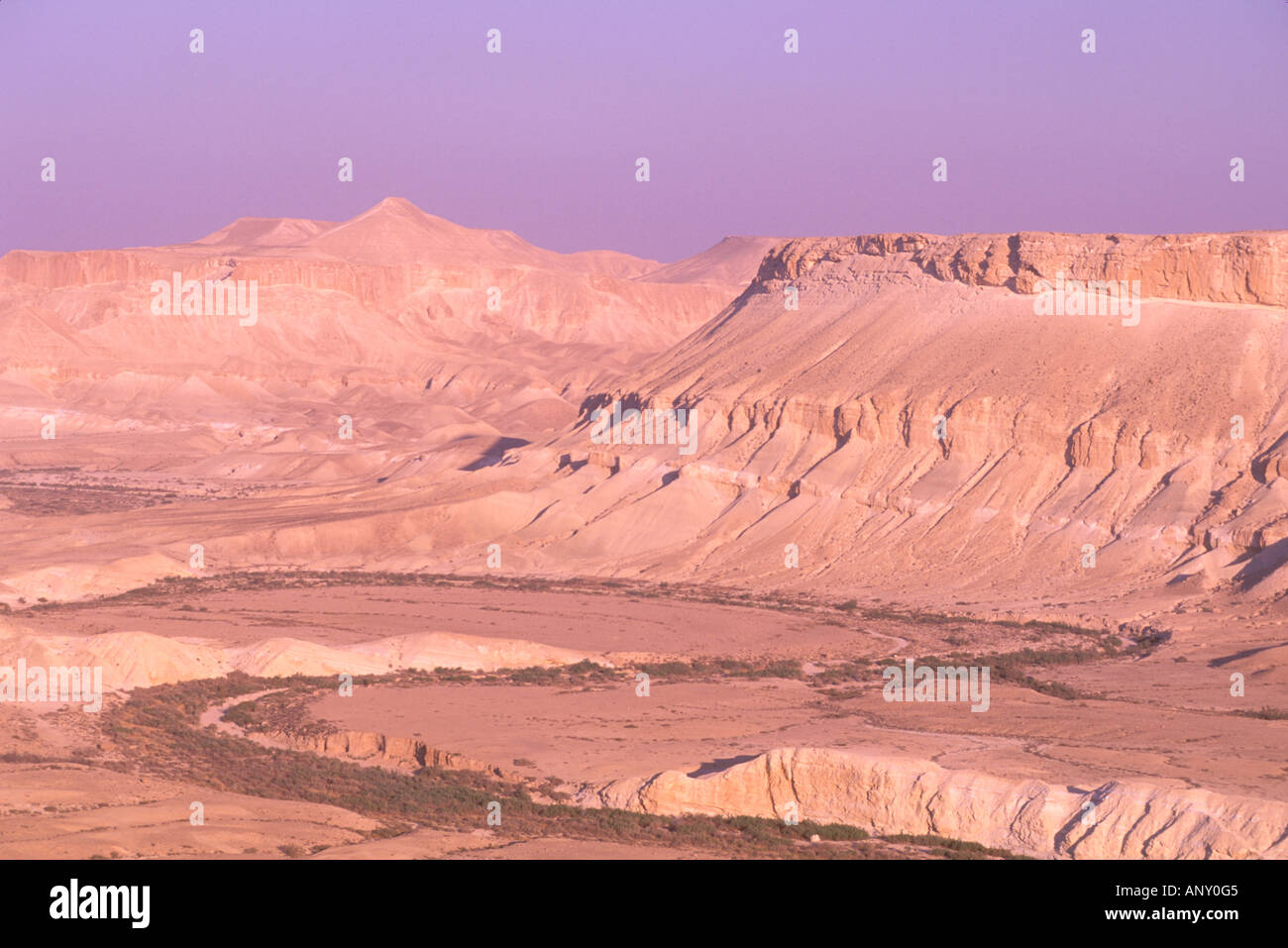 Asia, Middle East, Israel, Negev Desert. Wilderness of Zin Stock Photo ...