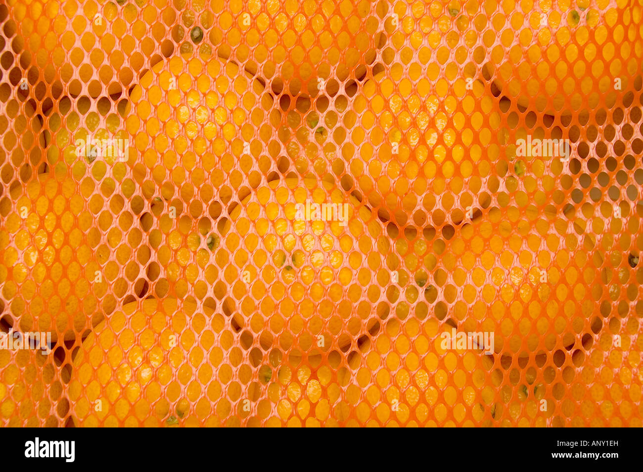 Clementine hi-res stock photography and images - Alamy