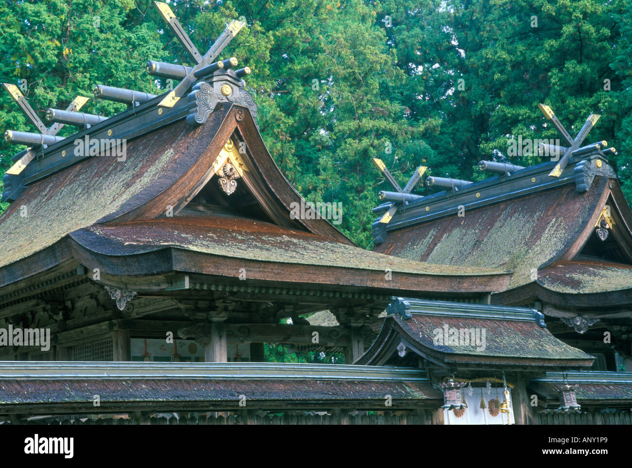 Asia, Japan, Wakayama, Hongu, Kumano Hongu Shrine Stock Photo - Alamy