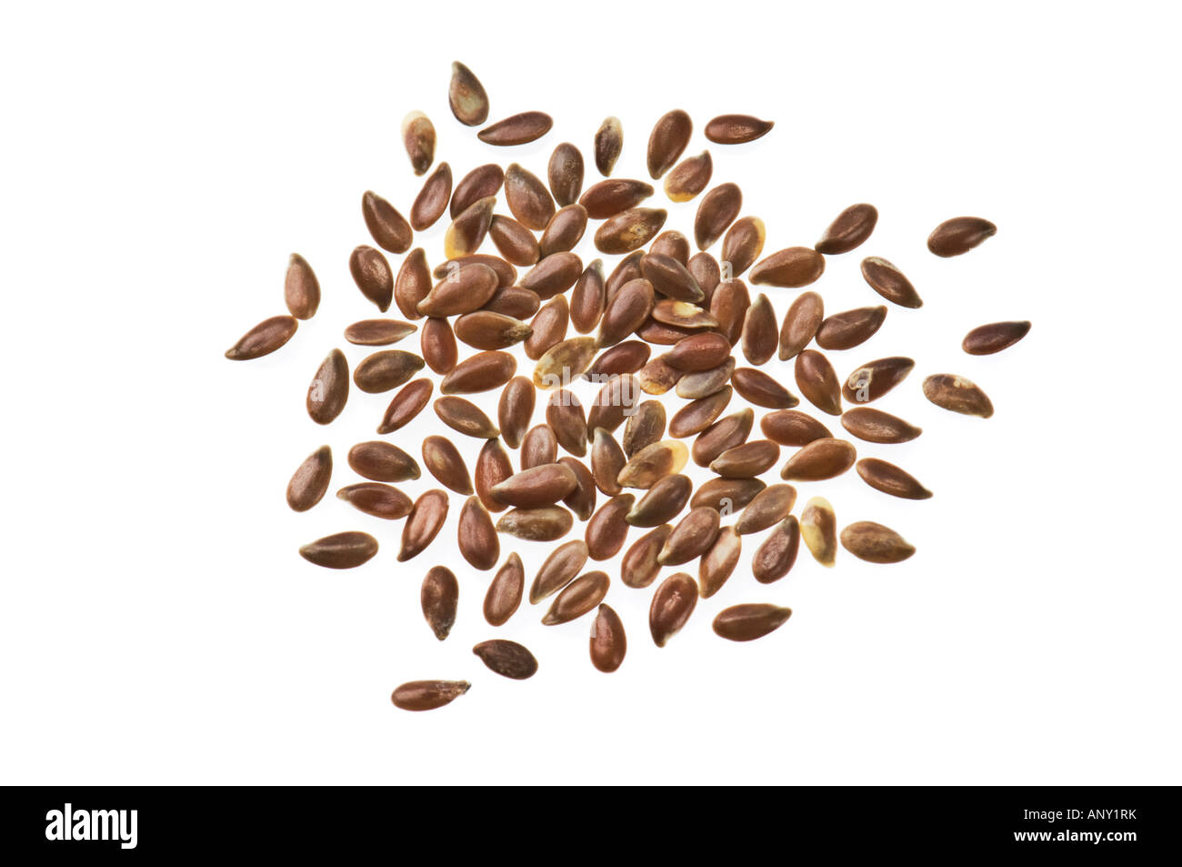 brown dark brownly linseed flax seed flaxseed Leinsamen flaxseed on ...