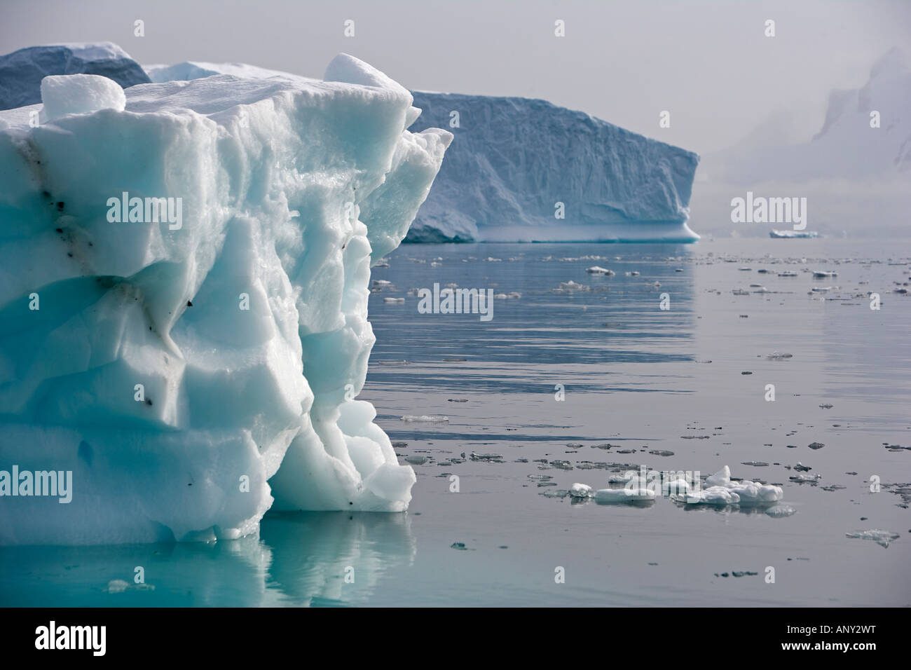 Antarctica, Antarctic Peninsula, Hope Bay. The constant melting ...