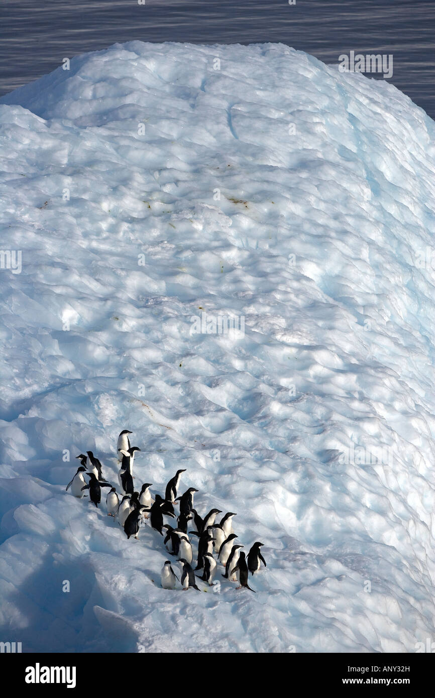 Antarctica, Antarctic Peninsula, Antarctic Sound otherwise known as ...