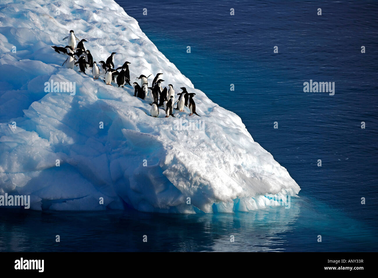 Antartica, Antarctic Peninsula; Antarctic Sound otherwise known as ...