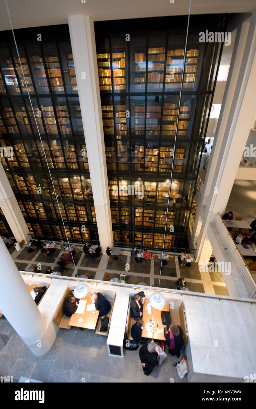 British Library inside with a big bookcase and people talk in tables ...
