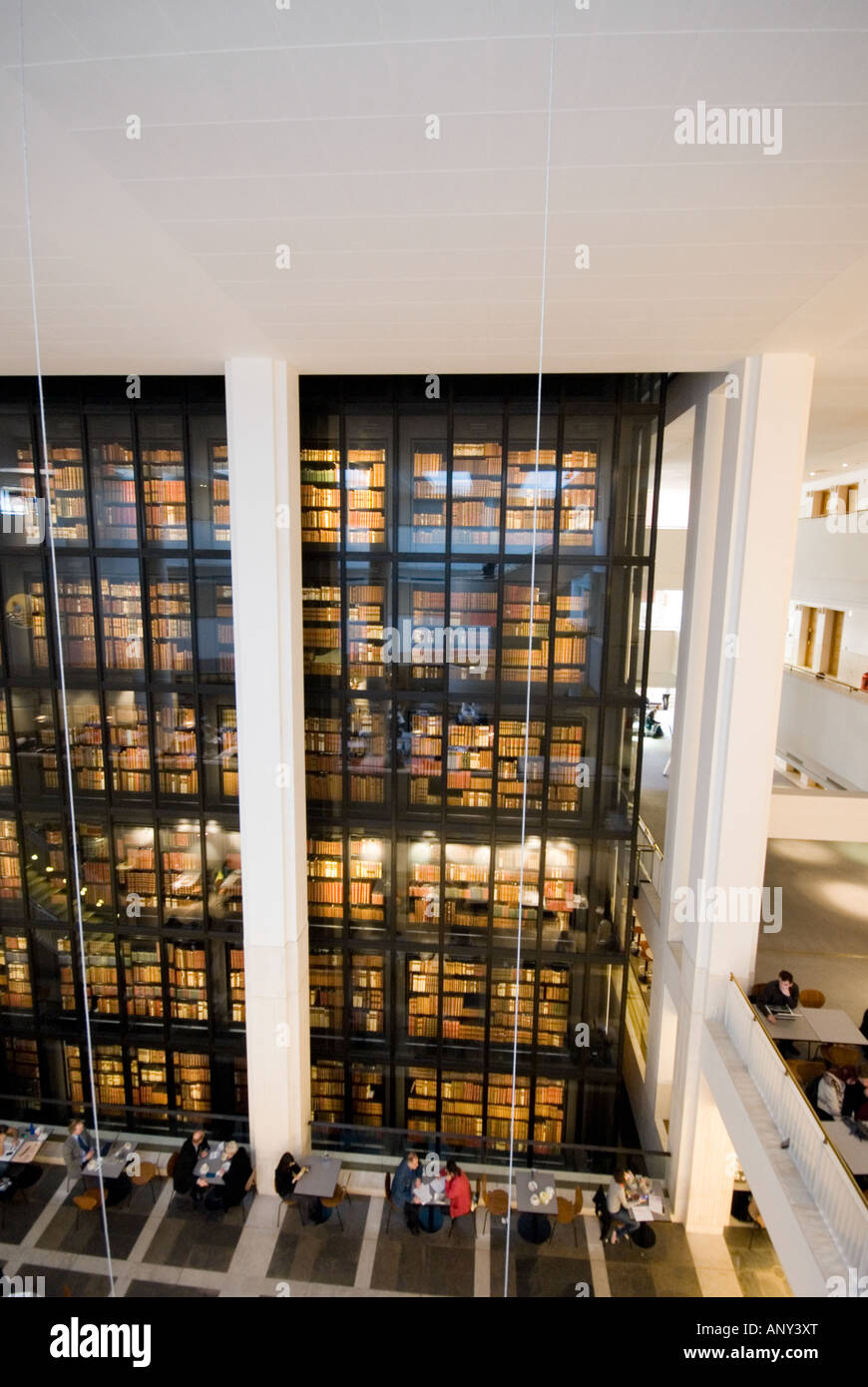 British Library inside with a big bookcase and people talk in tables ...