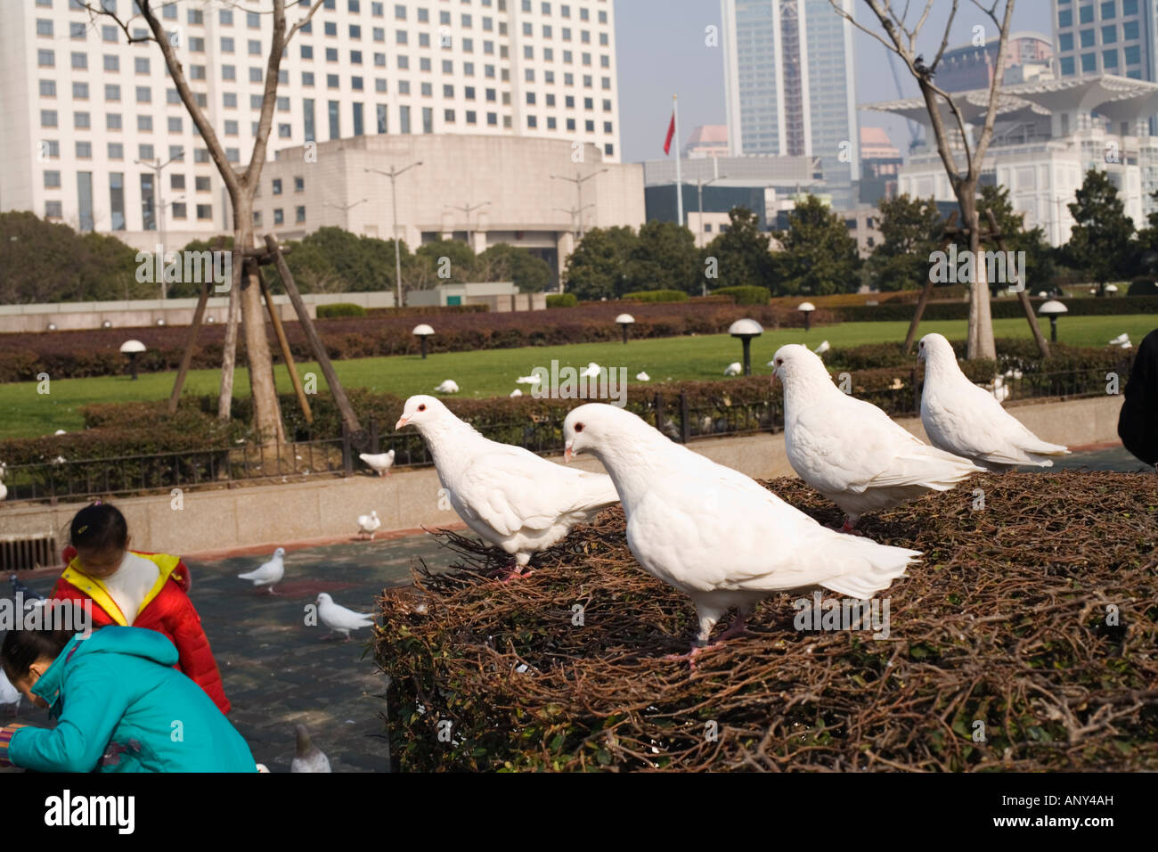 Renmin Square, Shanghai, Peoples' Republic of China Stock Photo - Alamy