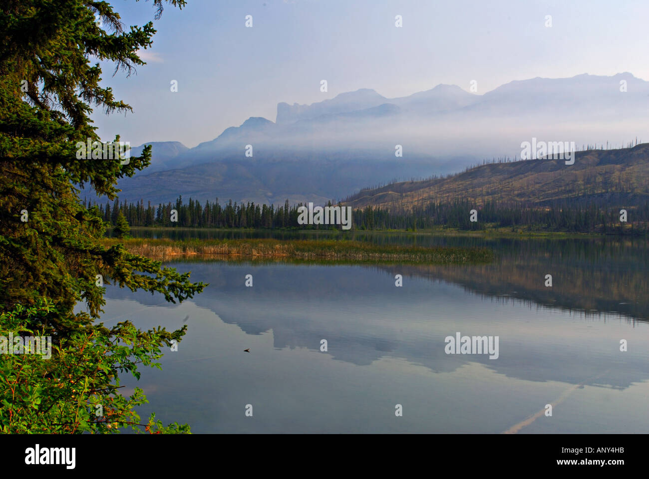 Talbot Lake scenic Stock Photo - Alamy