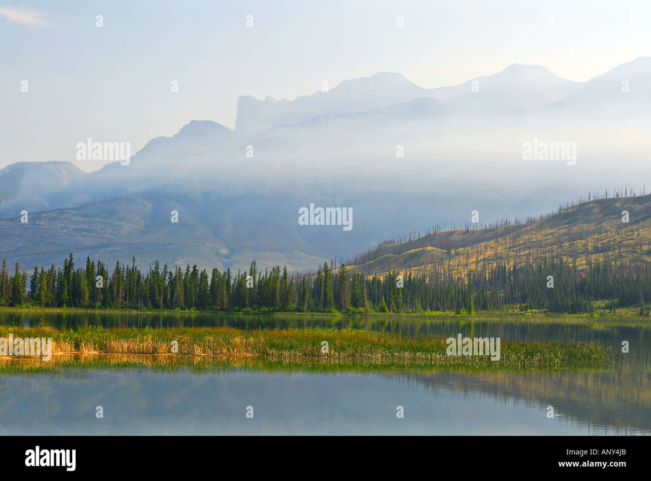 Miette range talbot lake jasper national park hi-res stock photography ...