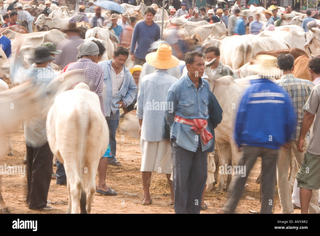 Isan area hi-res stock photography and images - Alamy