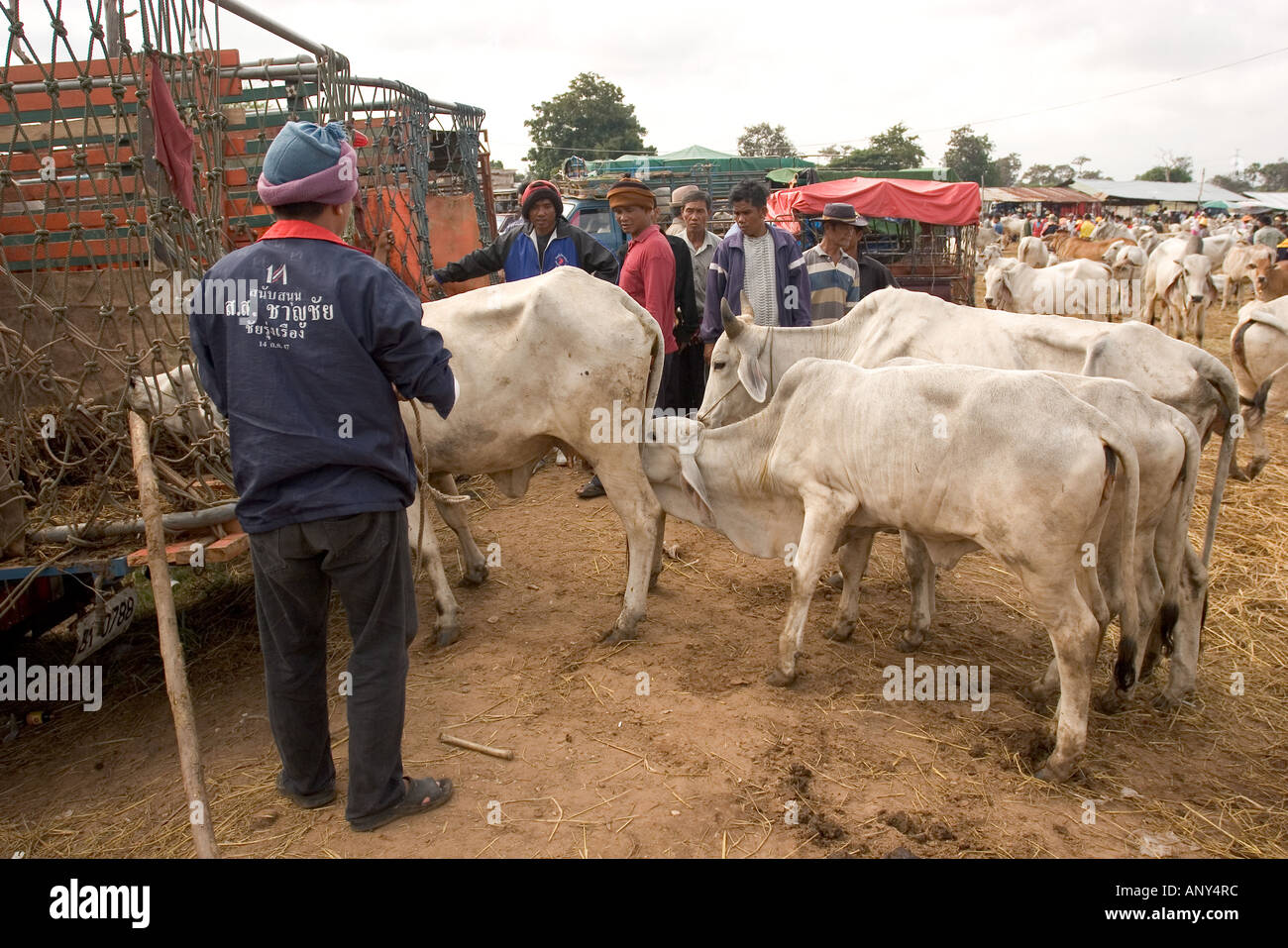 Isan area hi-res stock photography and images - Alamy